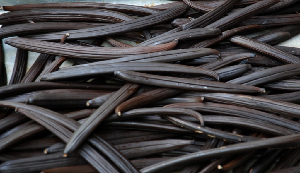 Bourbon Vanilla Beans - Sri Lanka (04 Steps Bourbon Curing Process)